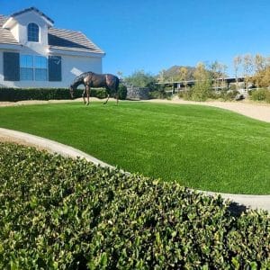 ProGreen: Premium Artificial Grass & Turf Solutions
